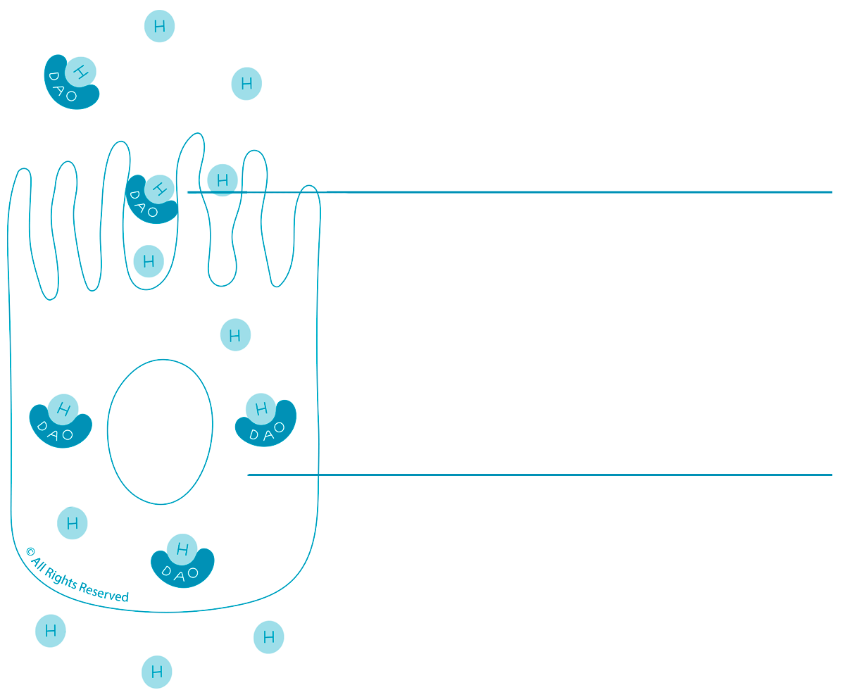 What is DAO deficiency? - DAO Deficiency